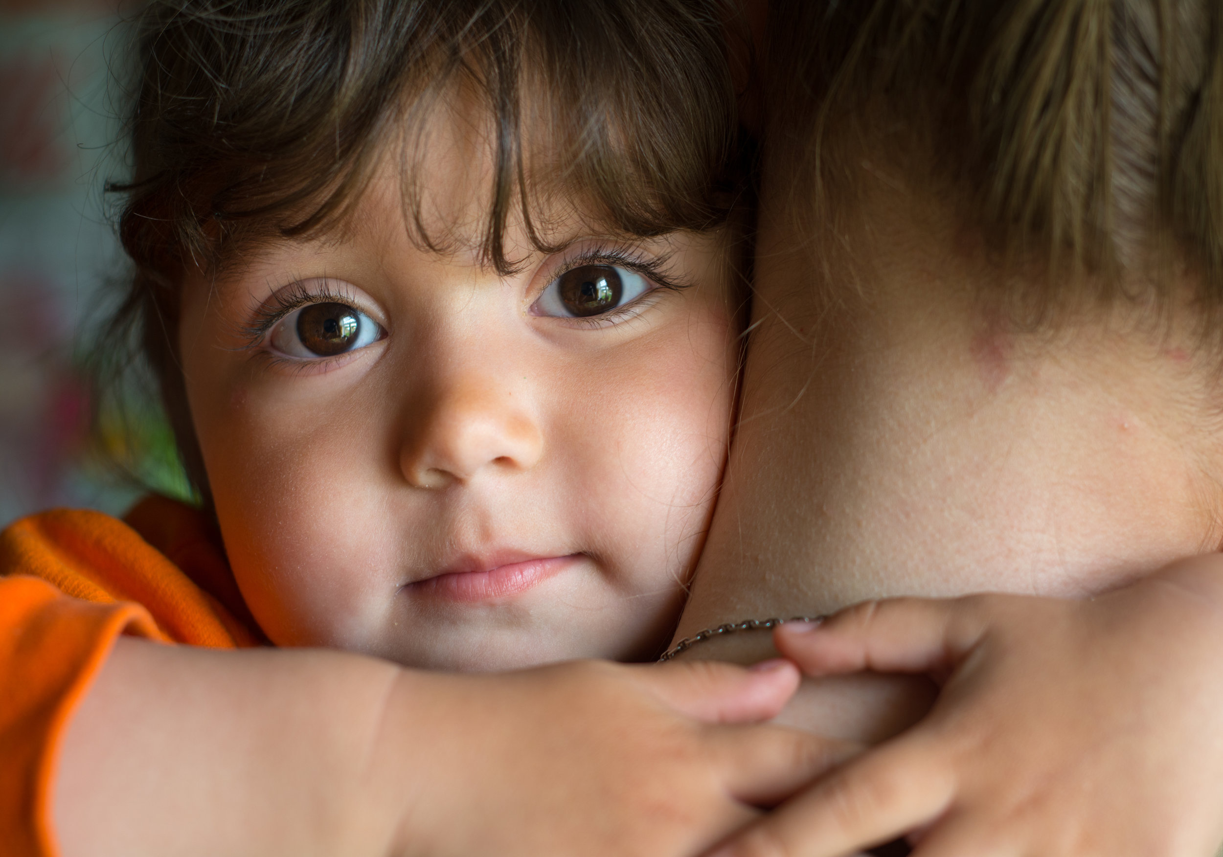 Lynn Shelter Association