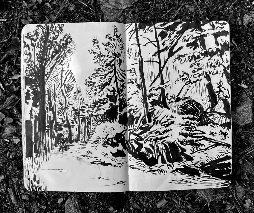 Sebastiaan Van Doninck