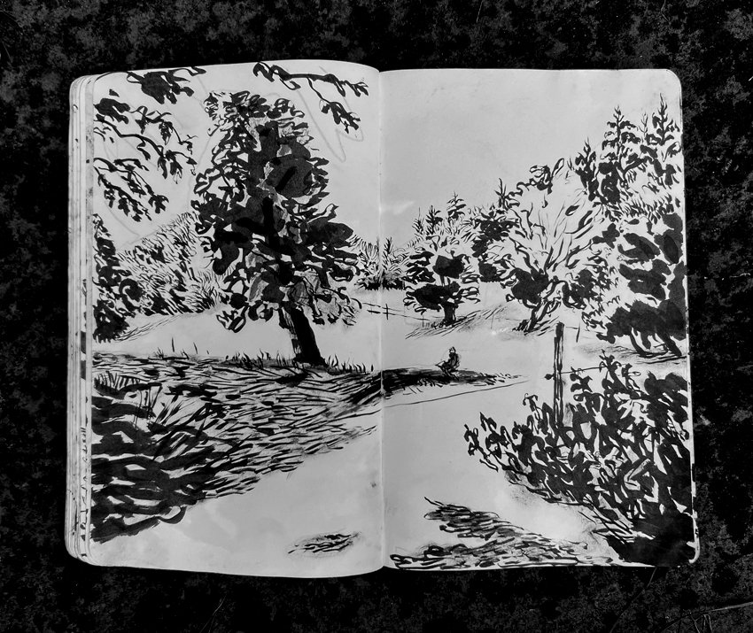 Sebastiaan Van Doninck