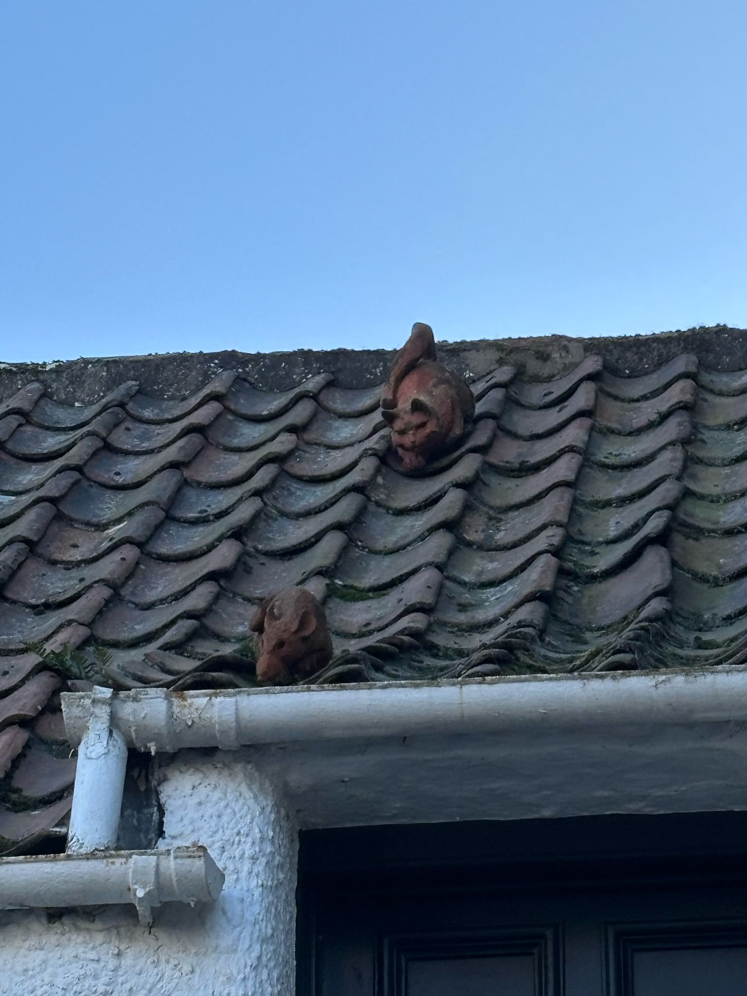 St Andrews in Detail — HASTA