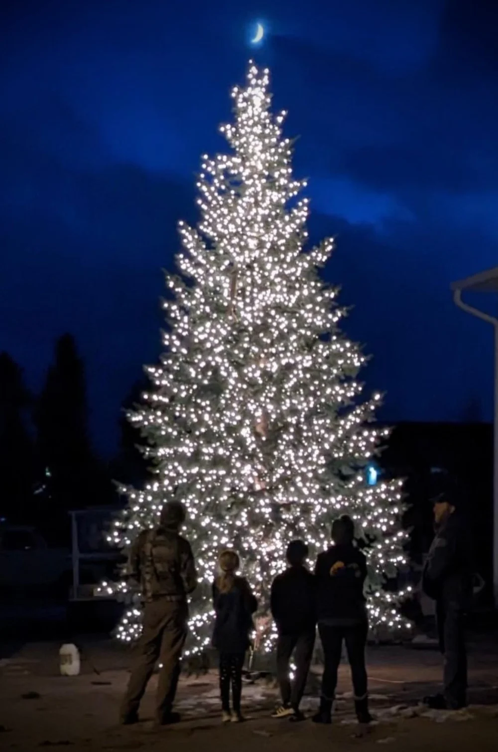 New Leaf Nursery - Your Neighborhood Garden