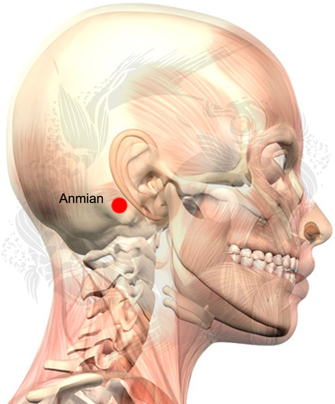 DIY ACUPRESSURE- SPOTLIGHT ON AN MIAN — JENNIFER HOGER ACUPUNCTURE