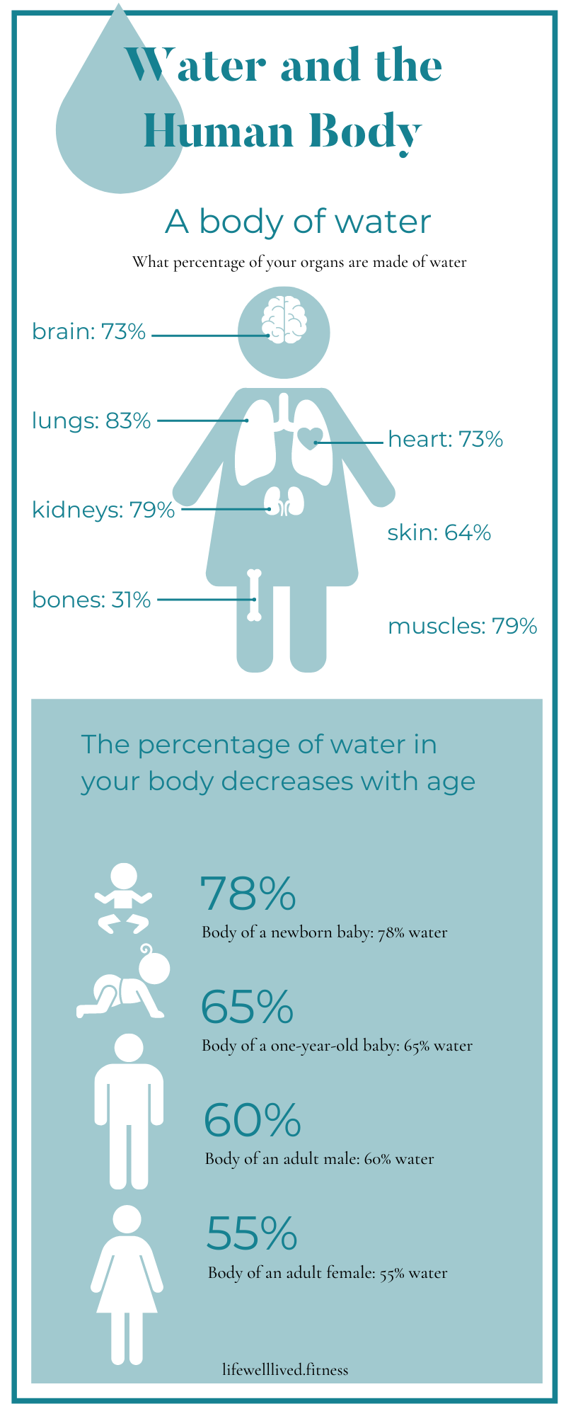 Daily Water Intake Calculator | Life Well Lived