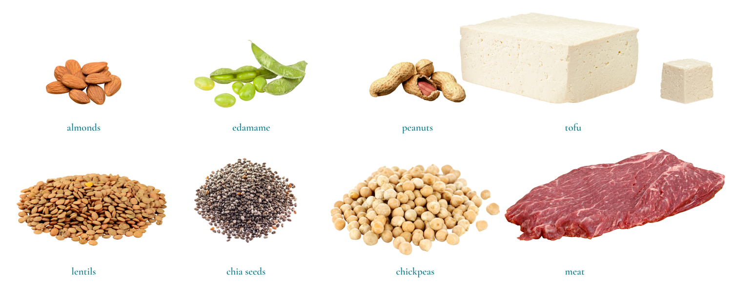 Daily Protein Intake Calculator | Life Well Lived