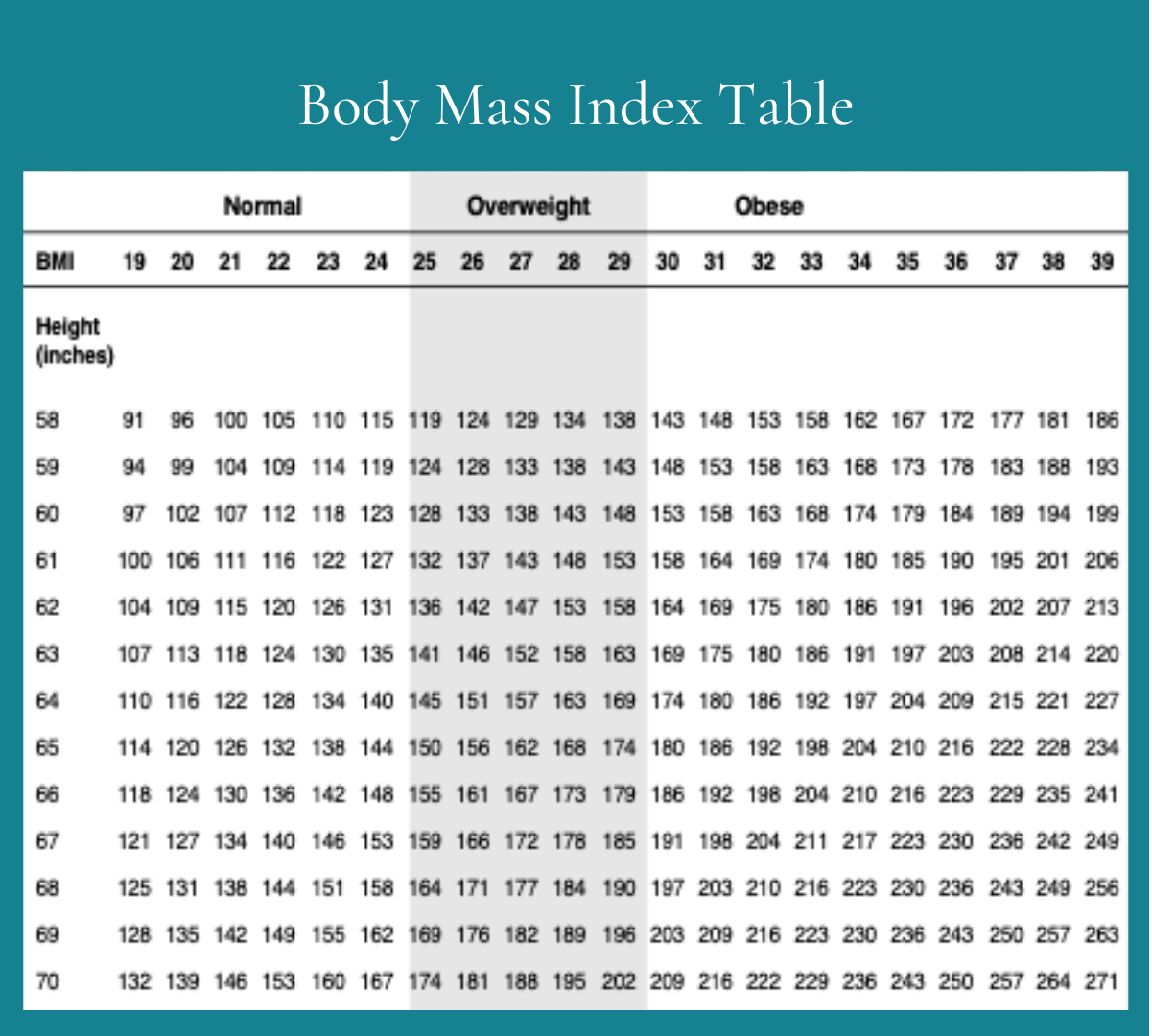 BMI Calculator | Life Well Lived