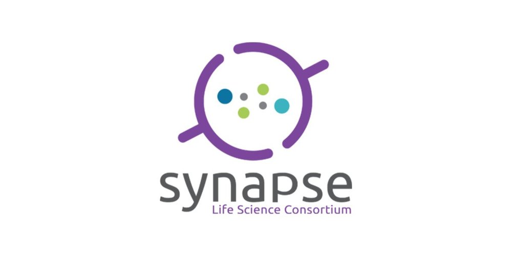 Synapse - Hamilton Health Innovation Check-up — OBIO - Ontario ...