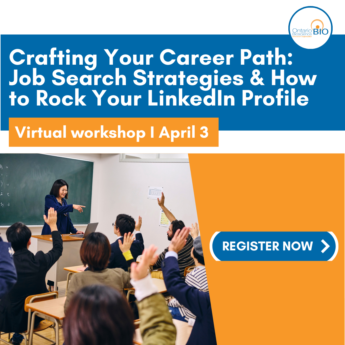 Crafting your career path: Job search strategies & how to rock your ...