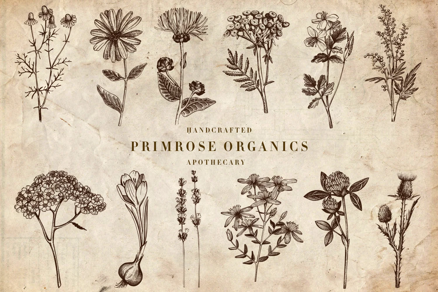 Primrose Apothecary Flower Essences