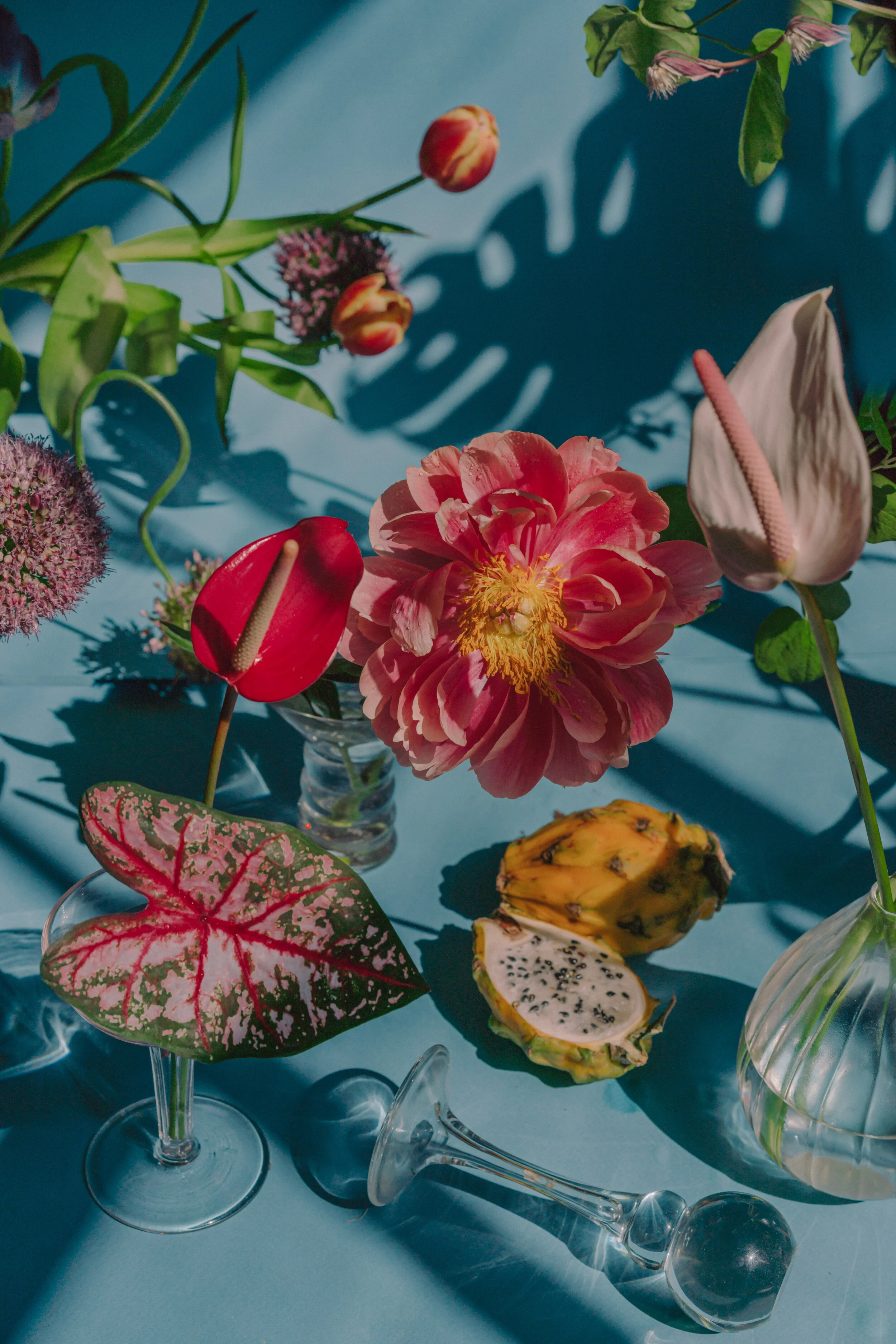 Victoria Jane Photography