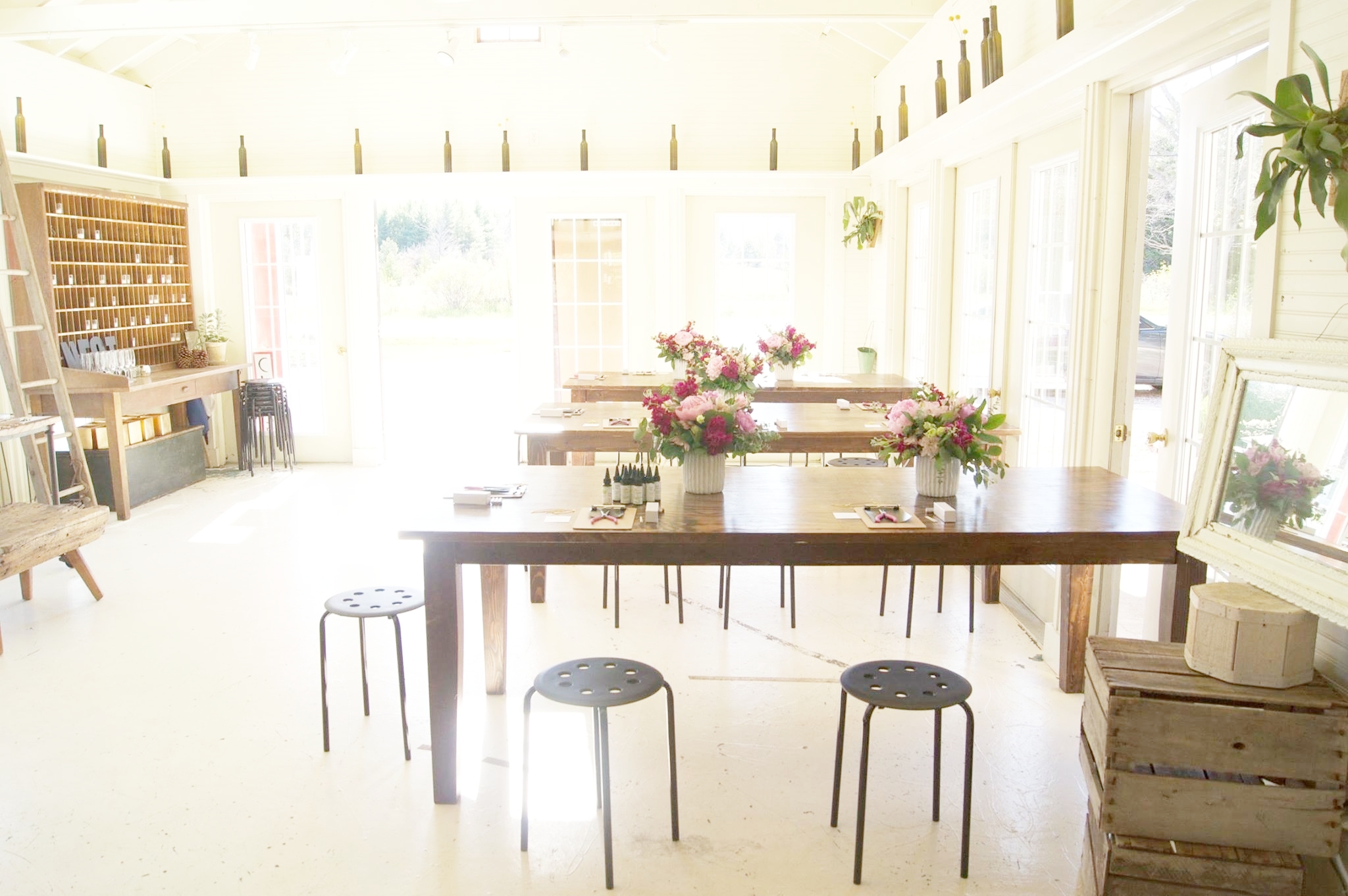 Blog — Blossoms Flower House