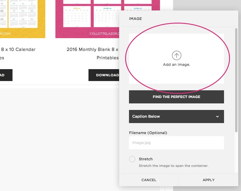 How To Add Alt Text To Images In Squarespace Why It Matters how-to-add-alt-text-to-images-in-squarespace-why-it-matters
