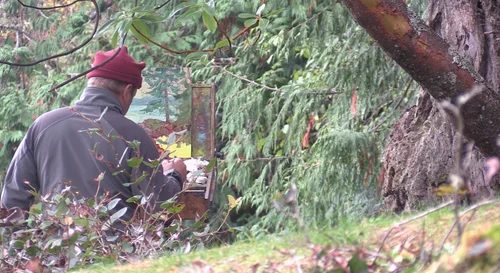 Episode 11: Salt Spring Island — Changing Landscapes TV