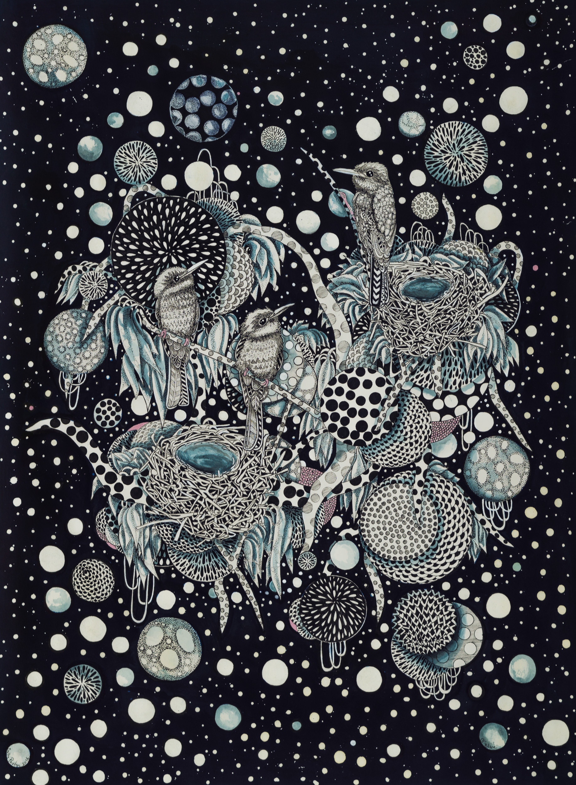 Works on paper — Sally Paxton