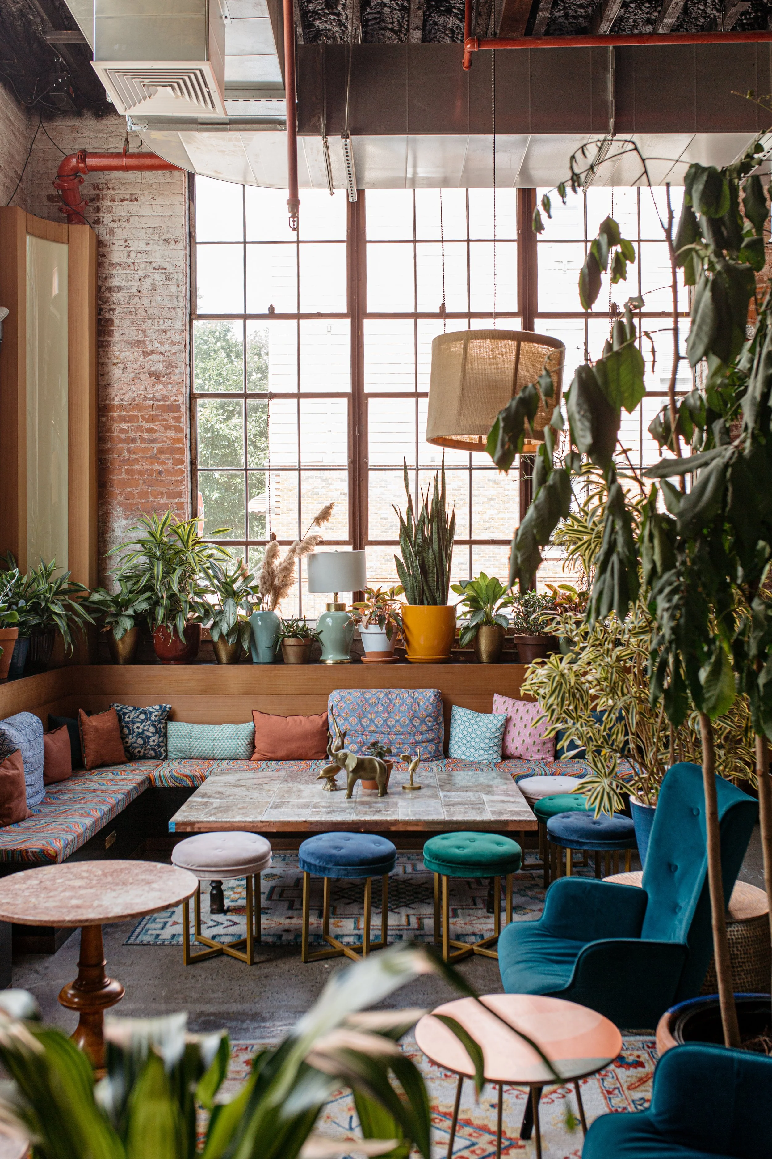 Clients — MONA Creative