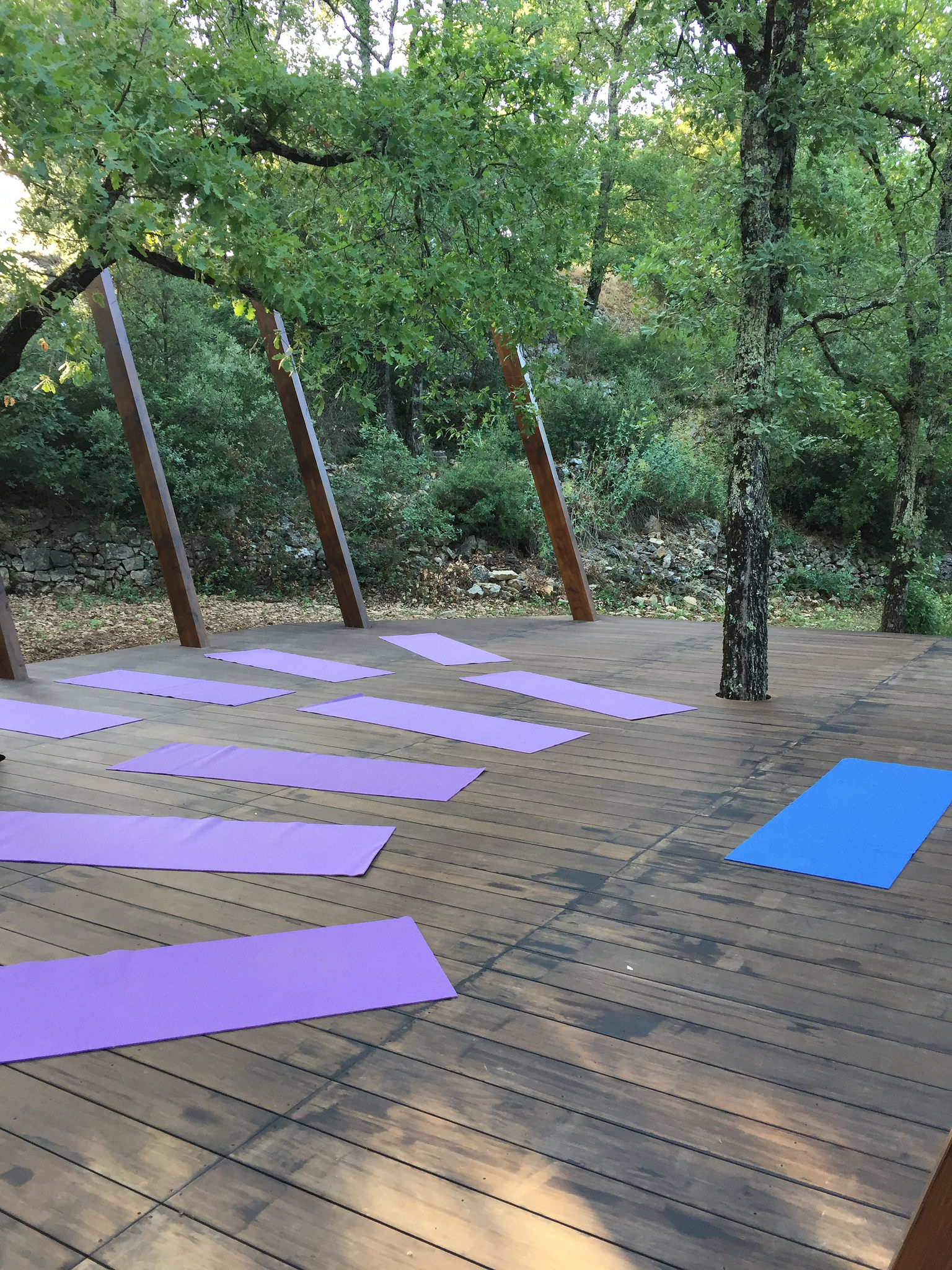 Provence, France Wellness Holiday — EAT PRAY MOVE