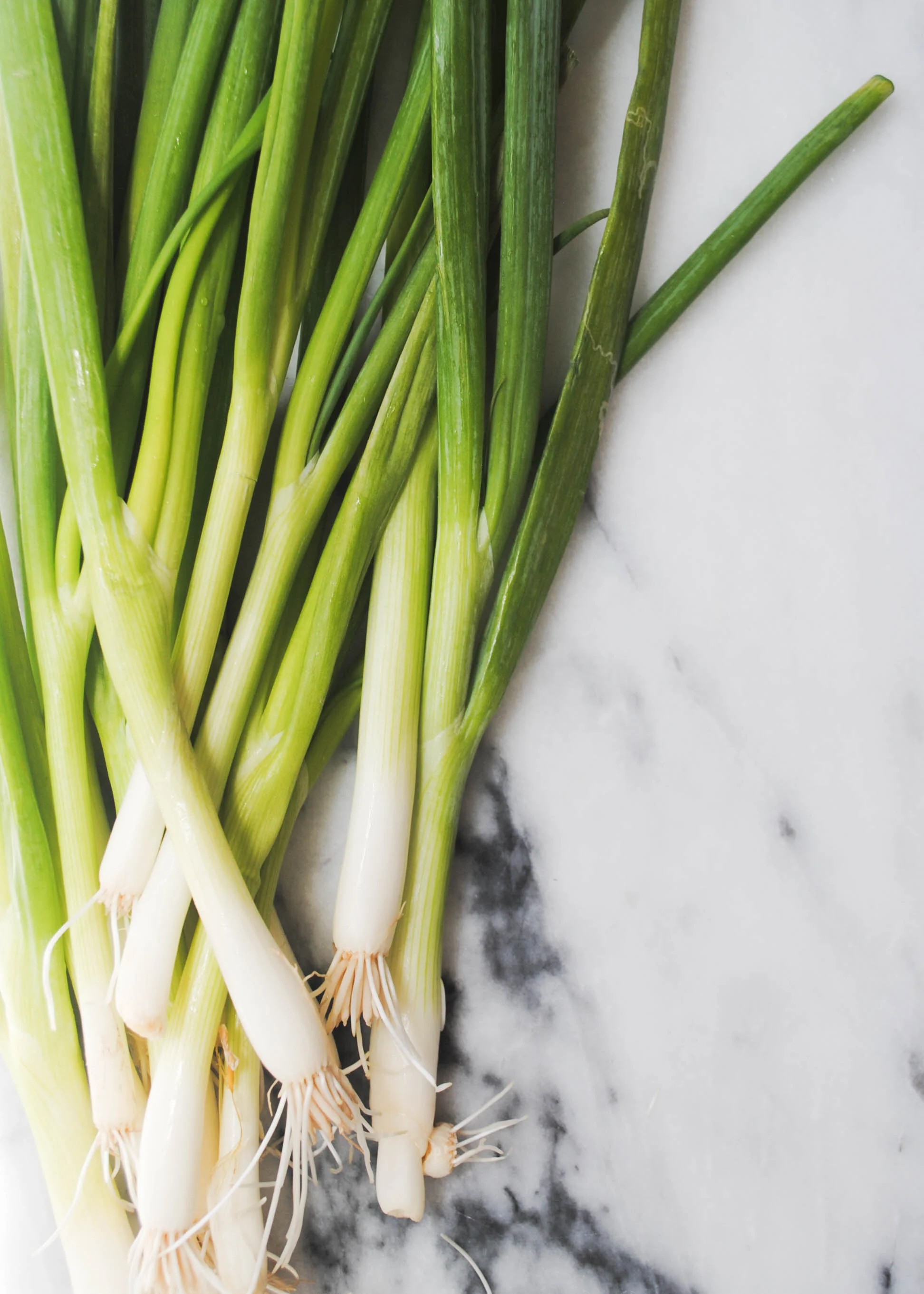 Scallion and Parmesan Scones — Eat Cho Food
