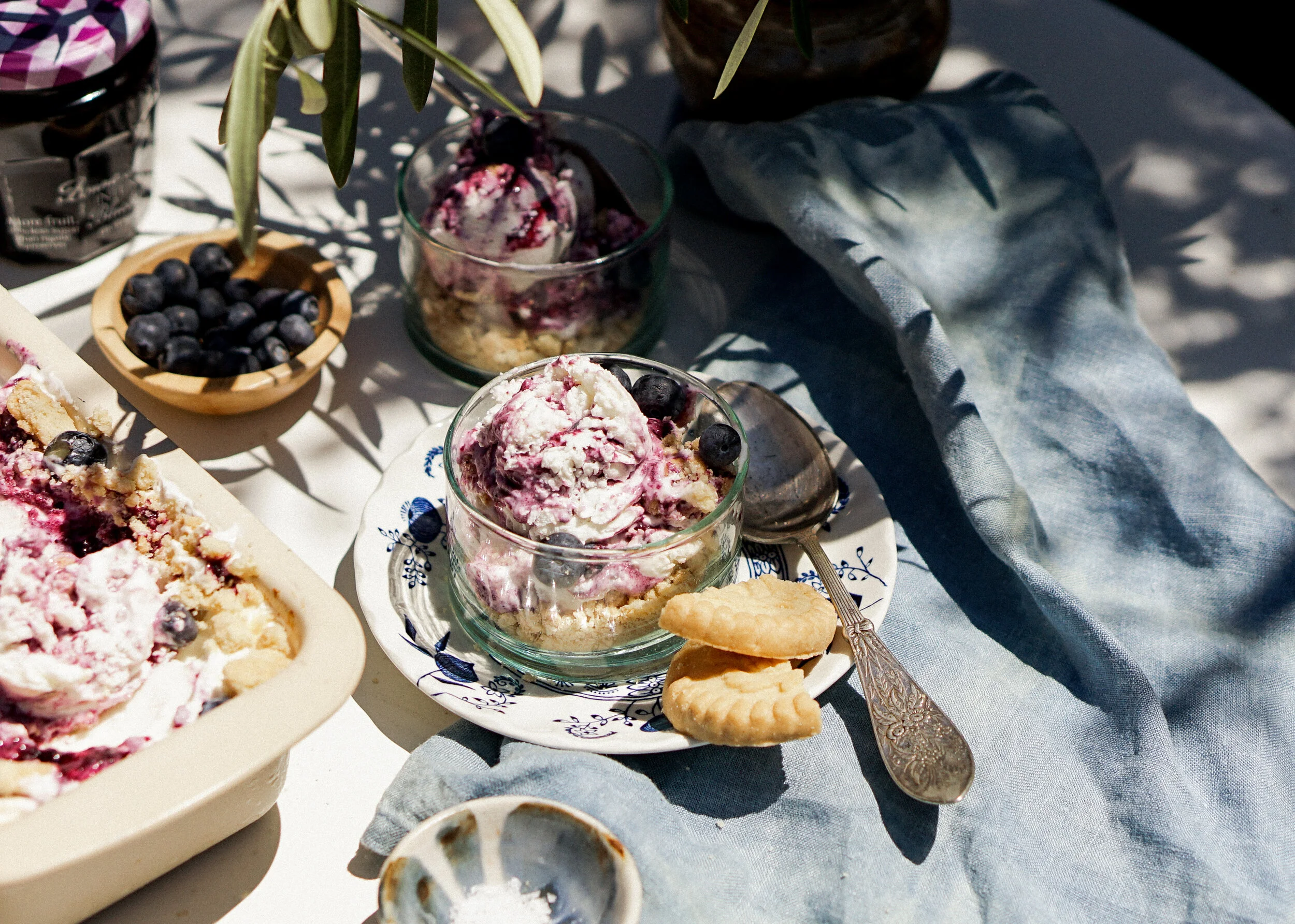 Salted Blueberry and Shortbread Frozen Yogurt (No-Churn!) — Eat Cho Food
