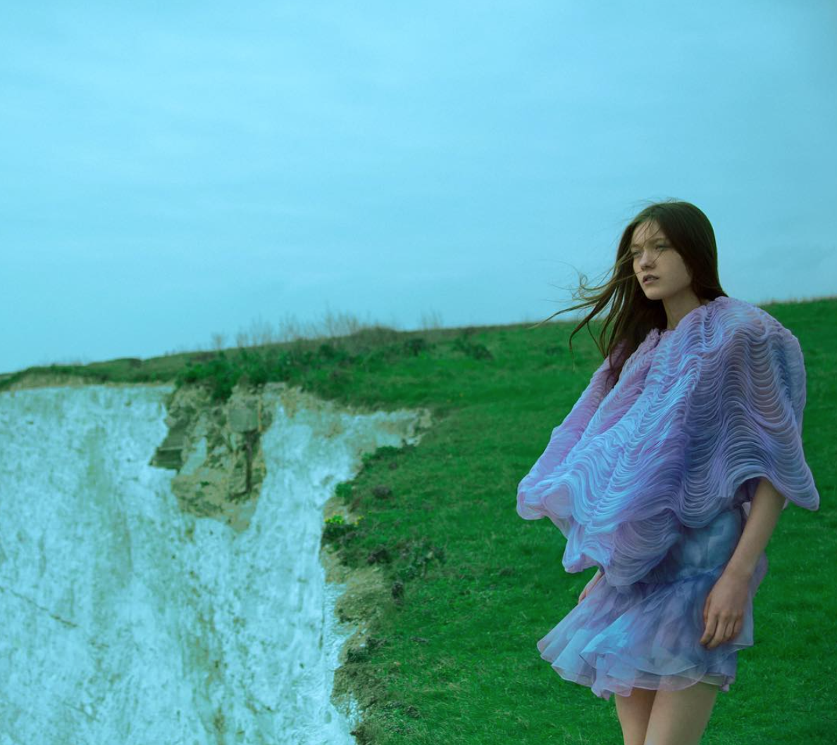Photography — holly young art