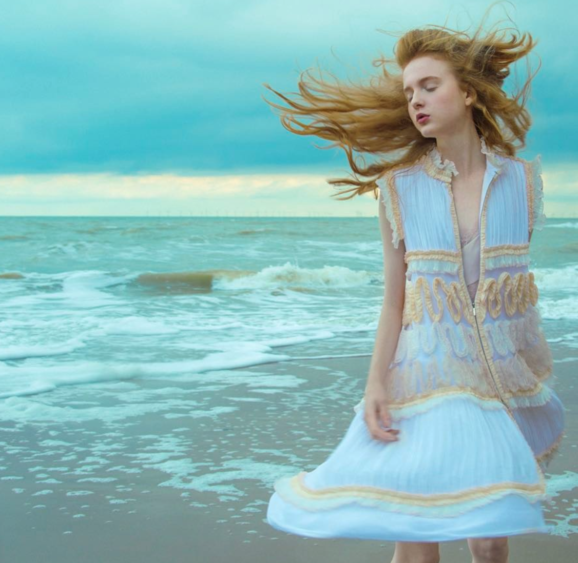 Photography — holly young art