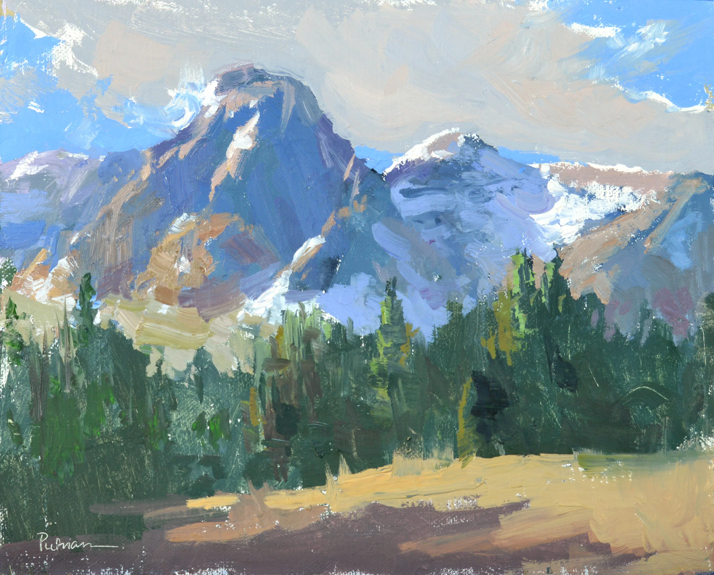 1225 Online Gallery — Putnam Fine Art Studio Paintings