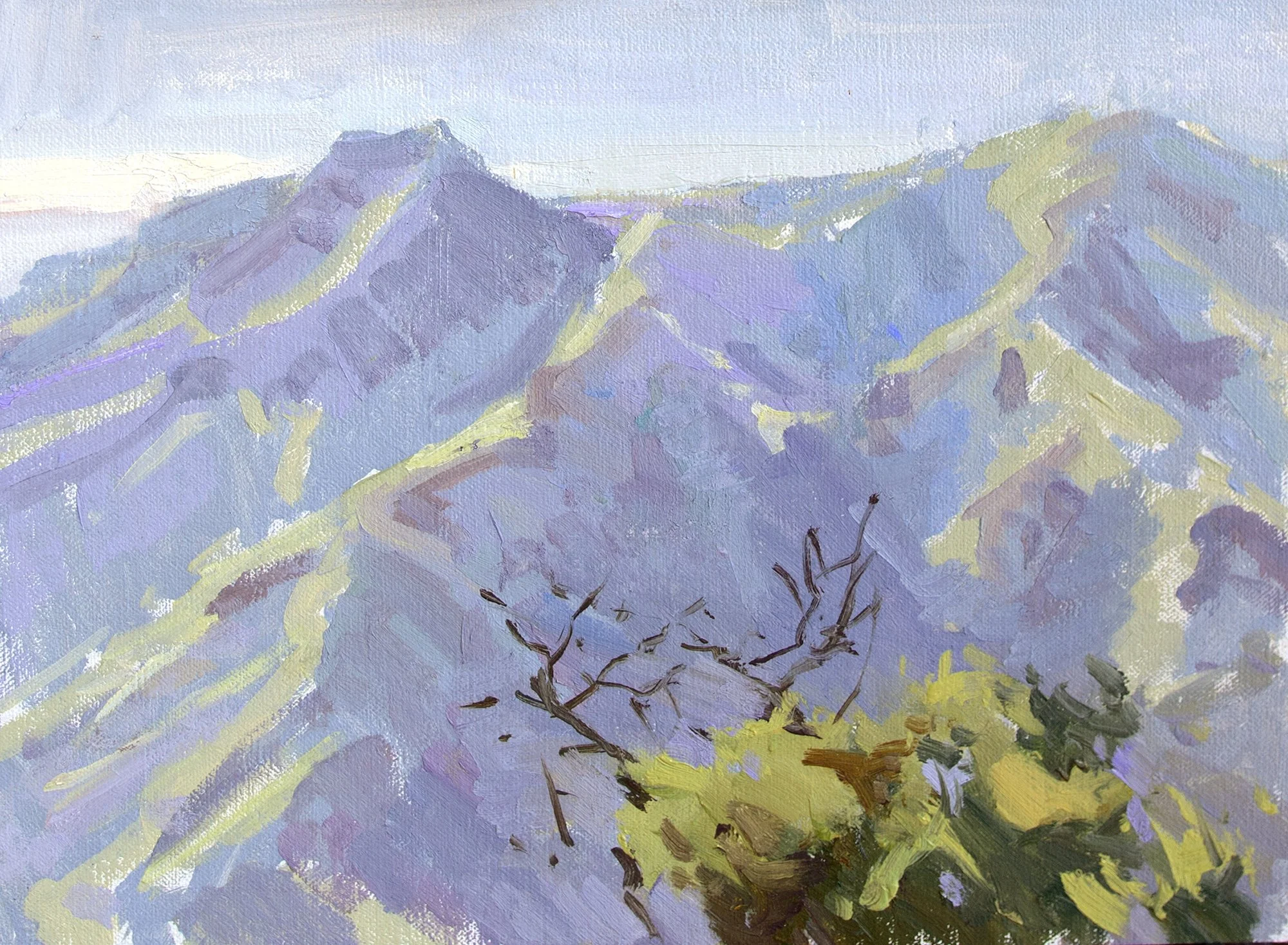 1225 Online Gallery — Putnam Fine Art Studio Paintings