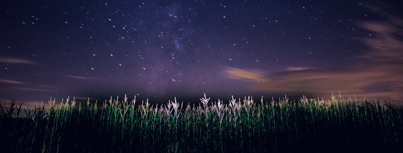 Museum of You — The Truth