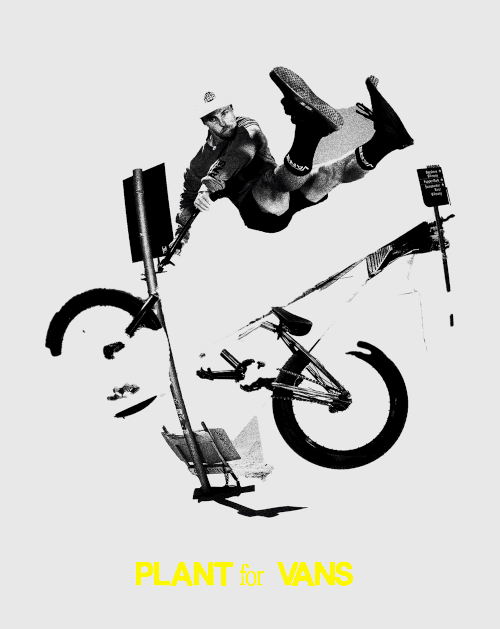 PLANT for VANS — Bruno Oppido