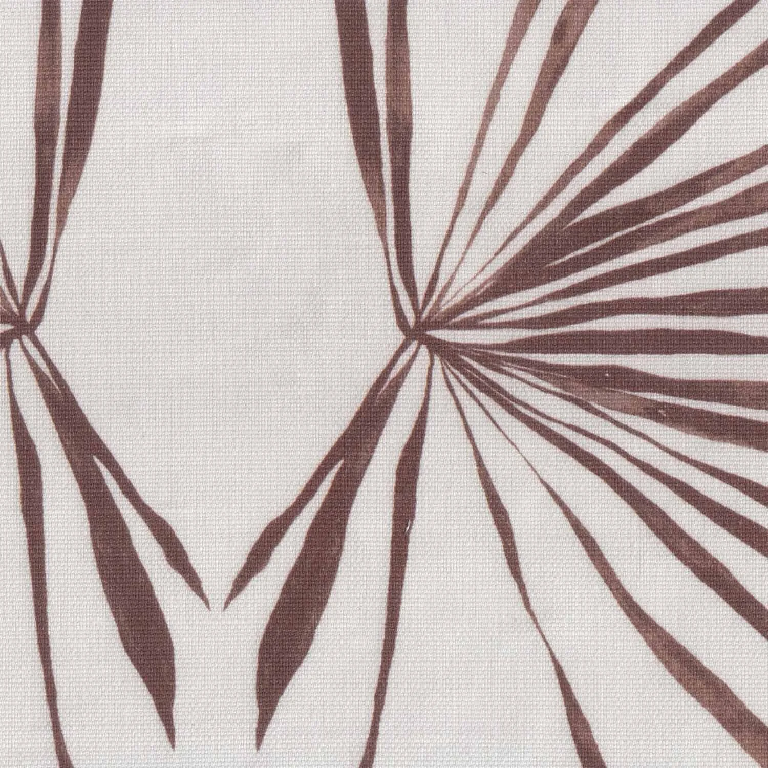 STUDIO COLLECTION II — HABLE