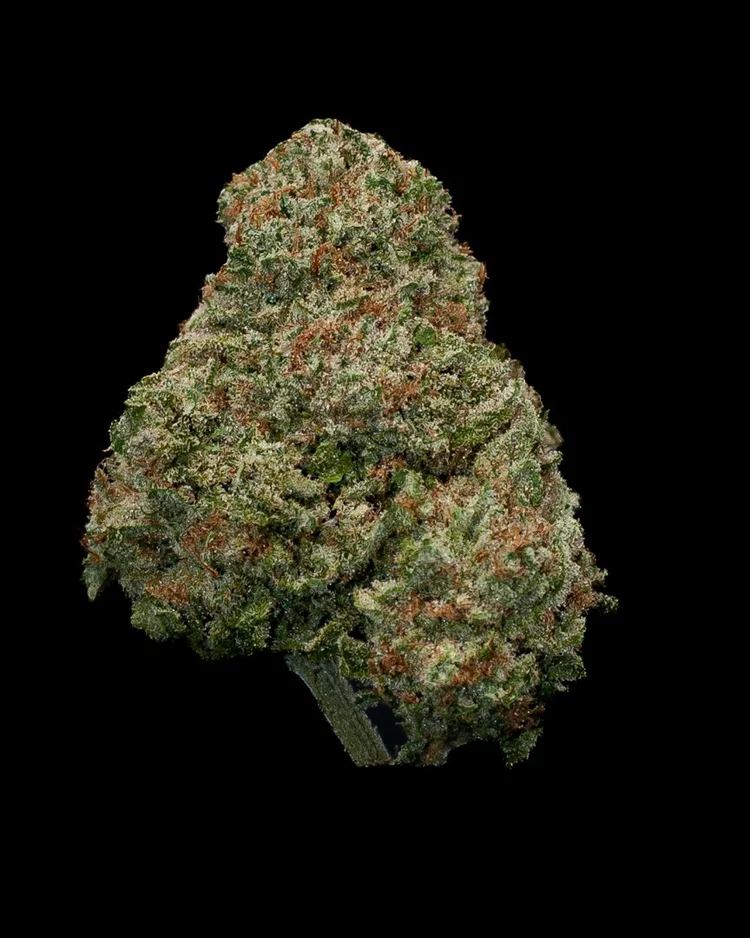 STRAINS — Oregon Roots - Firmly Planted In Oregon Soil