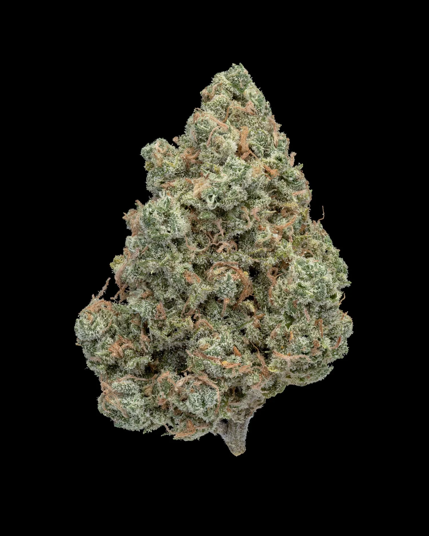 STRAINS — Oregon Roots - Firmly Planted In Oregon Soil