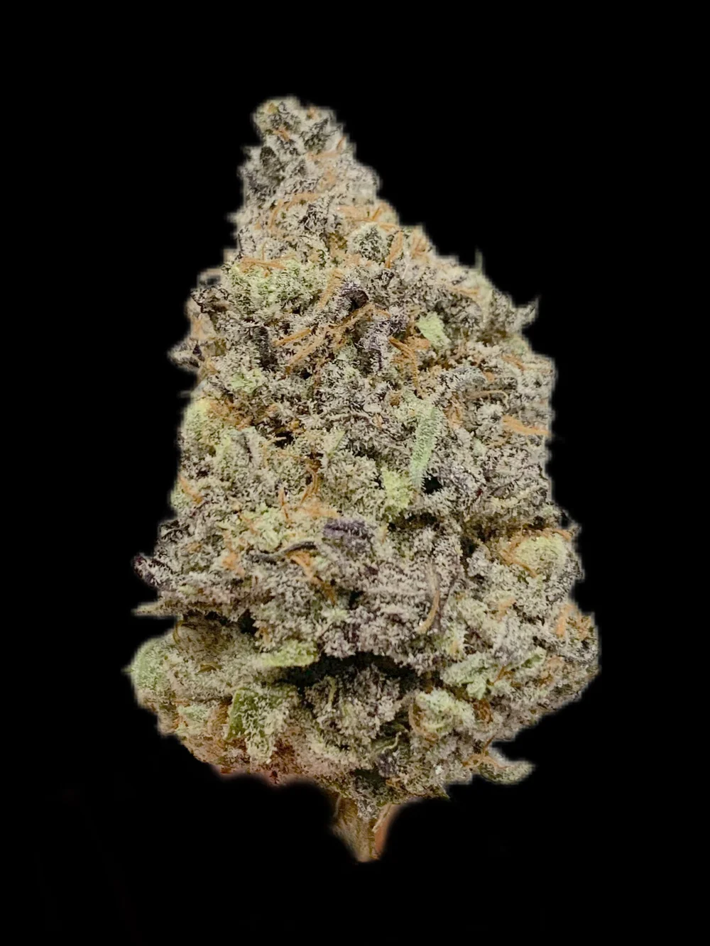 STRAINS — Oregon Roots - Firmly Planted In Oregon Soil