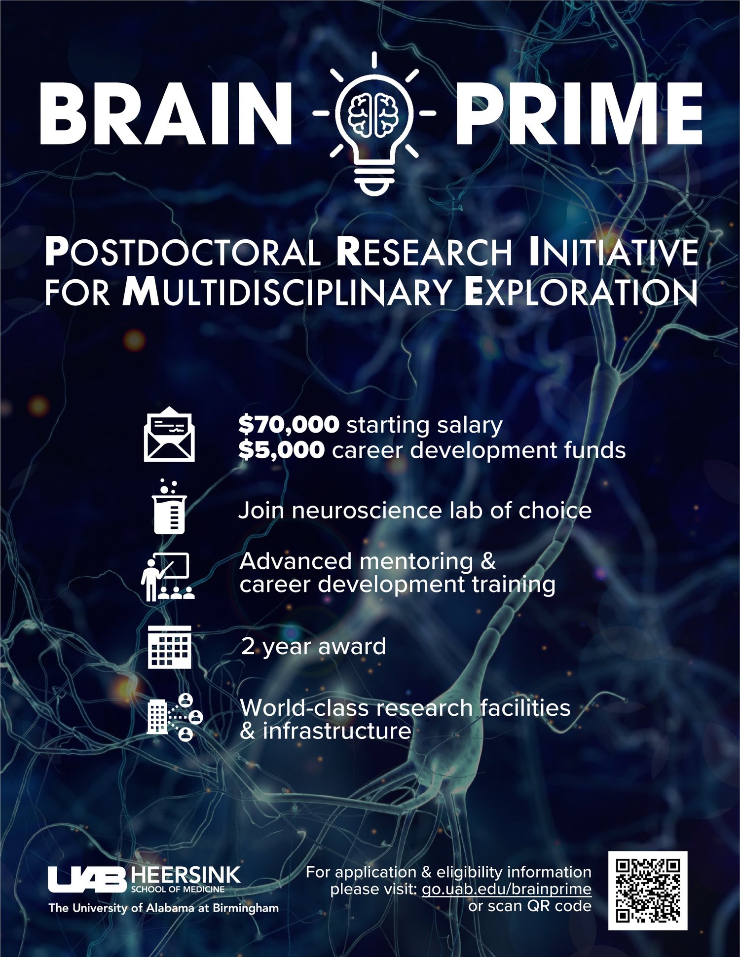 Opportunities — Day.Lab