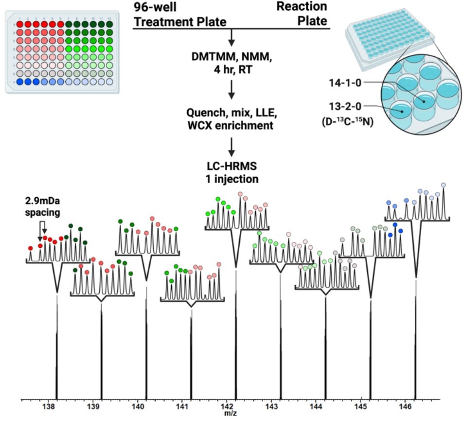 Isotope Tagging of Metabolites — The Edwards Lab