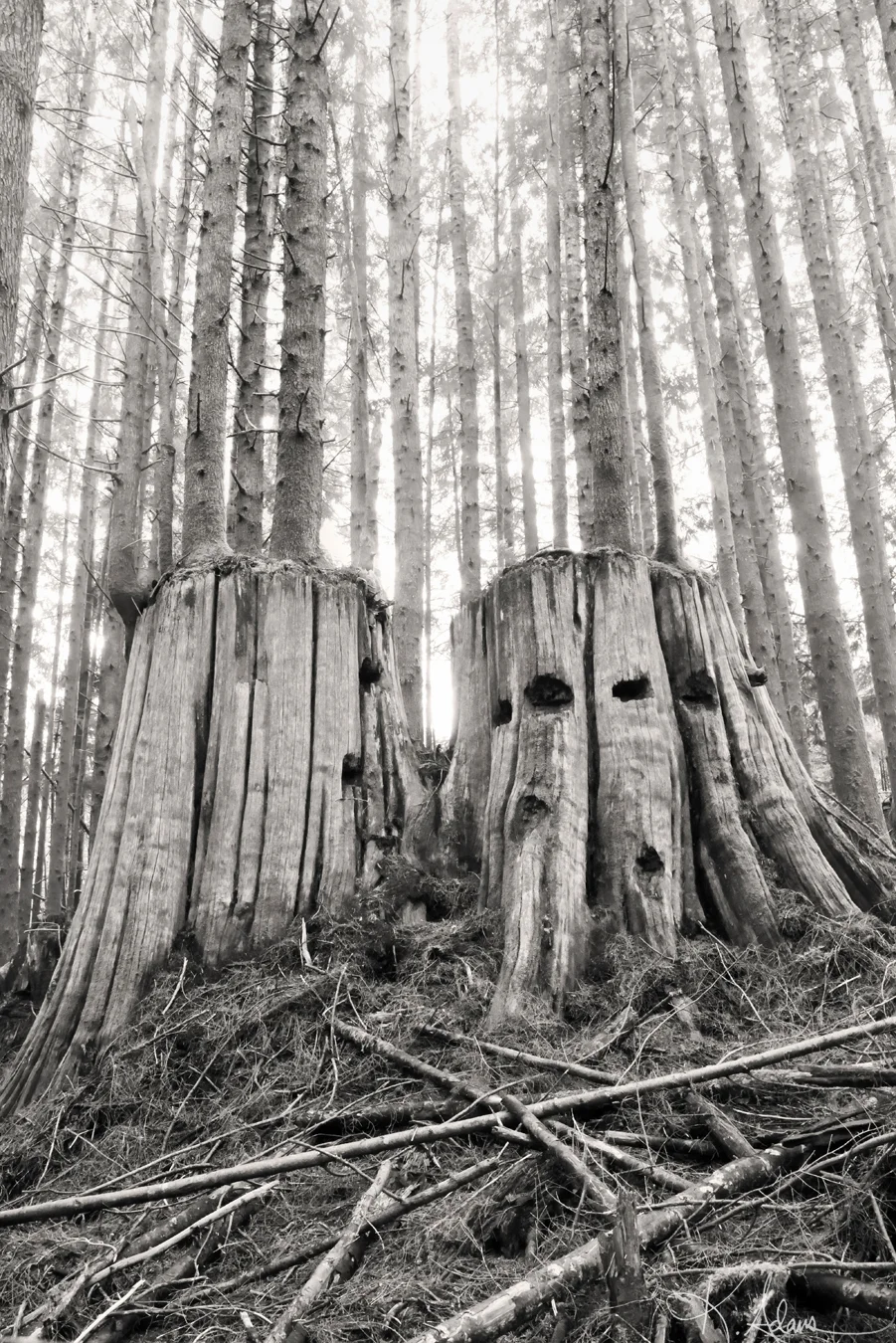 Outdoor Photography & Product Design