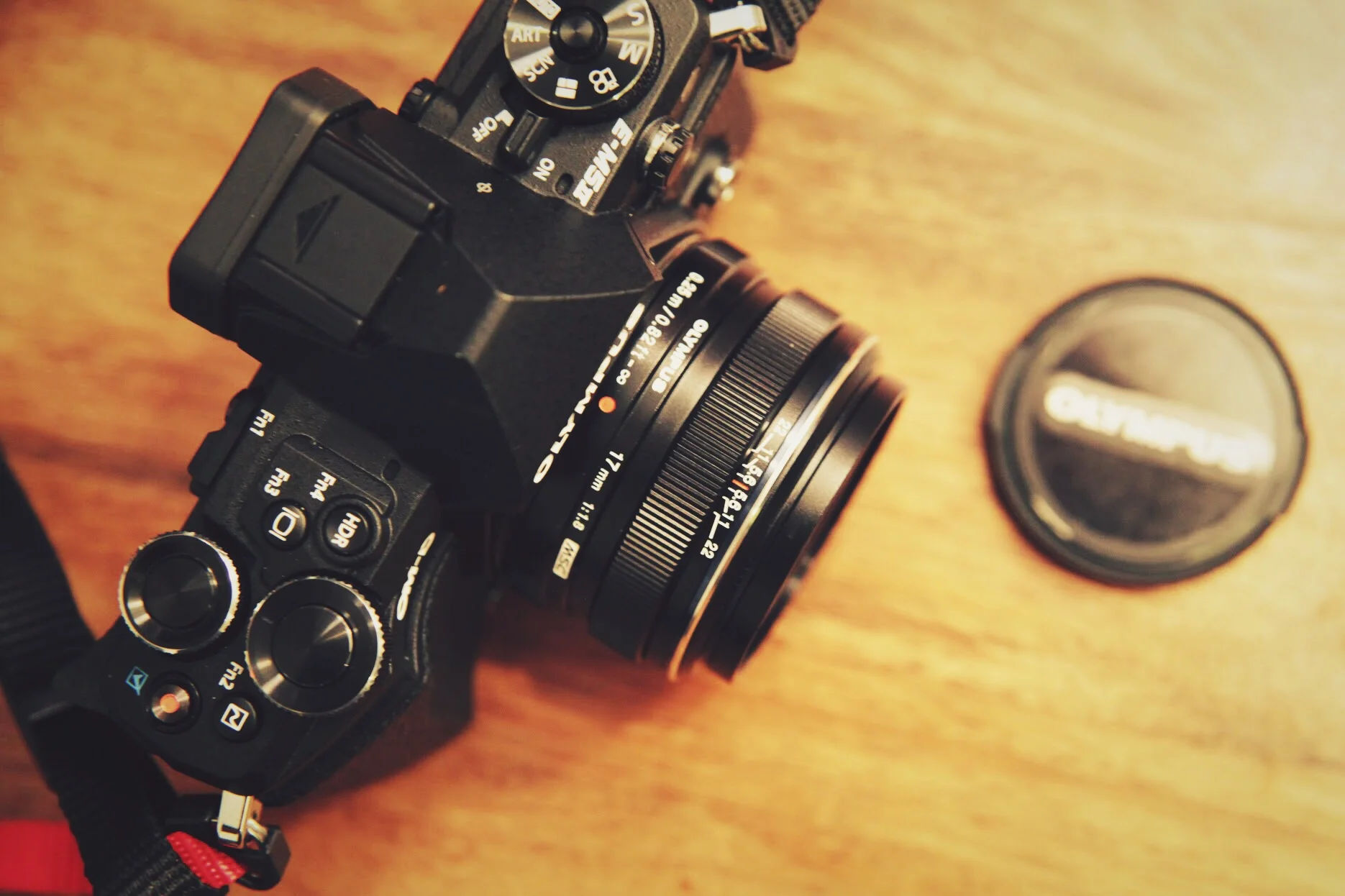 A Review of the Olympus OMD EM5 Mark II — Here Say