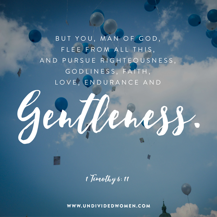 Gentleness Bible