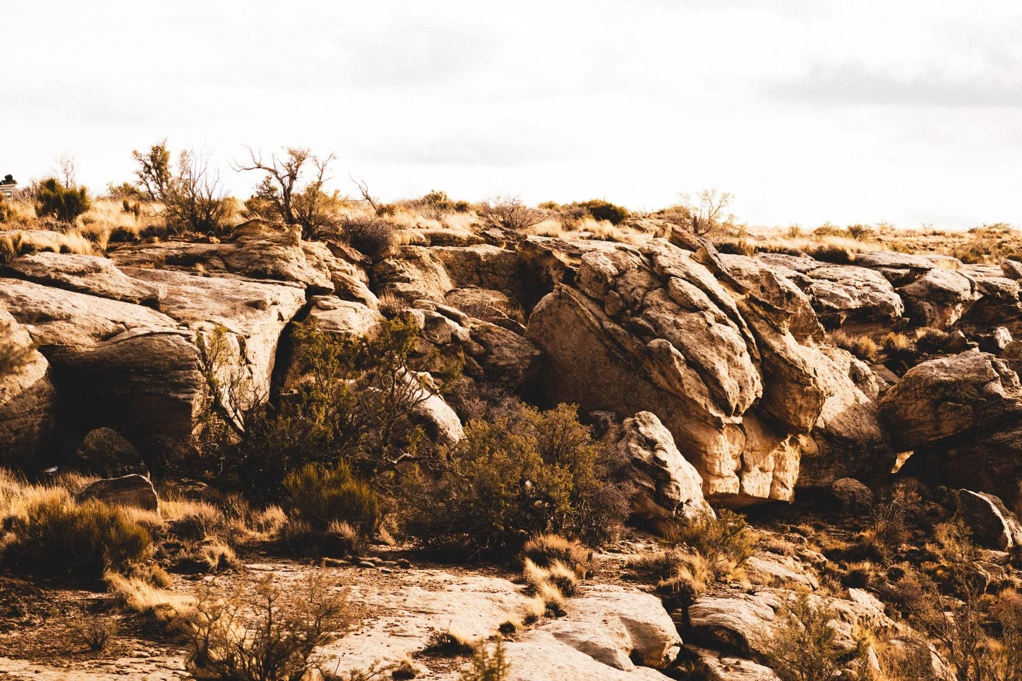 About Hopi — Hopi Education Endowment Fund