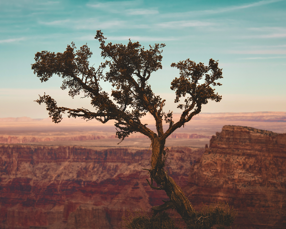 HEEF Staff — Hopi Education Endowment Fund