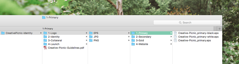 Making Sense of Your Brand's Logo & Identity Files — Melissa Yeager