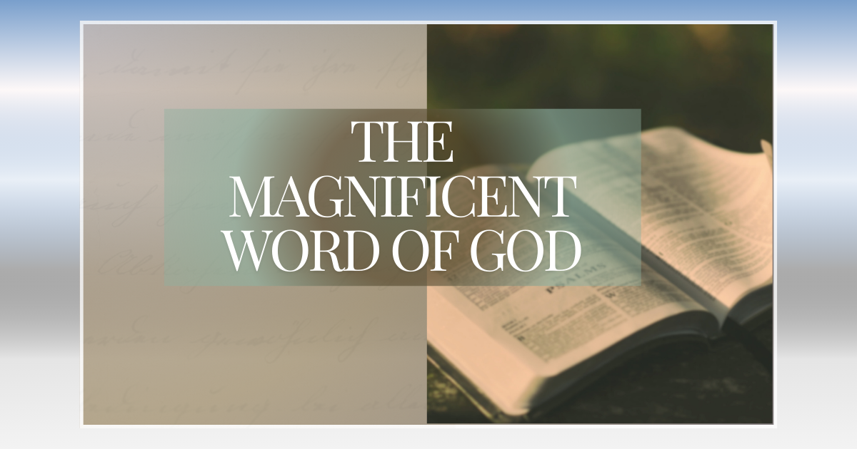 Plantation Community Church