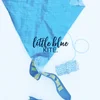 Day 174 - Little Blue Kite. — Andra Weber Creative