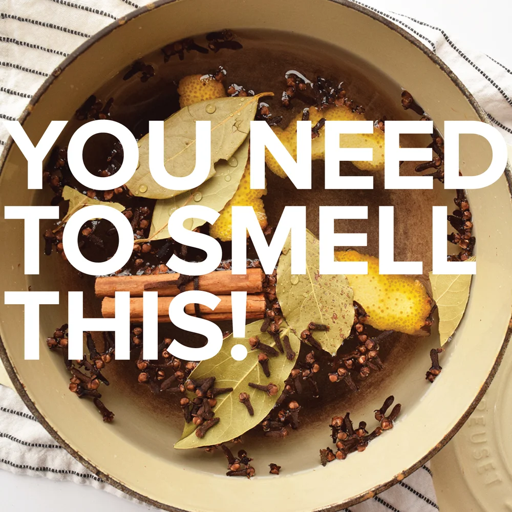 Day 257 - You Need To Smell This! — Andra Weber Creative