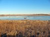 Goose Pond Sanctuary — Southern Wisconsin Bird Alliance