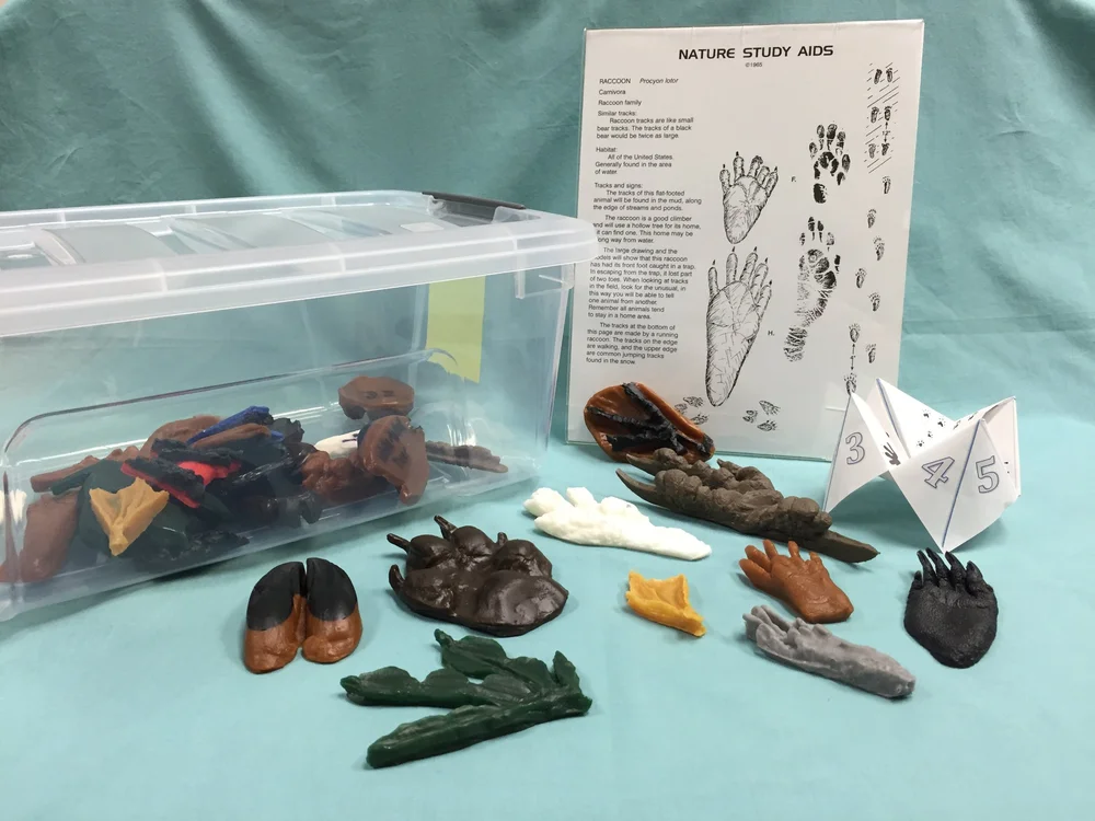 Lesson Kits — Southern Wisconsin Bird Alliance