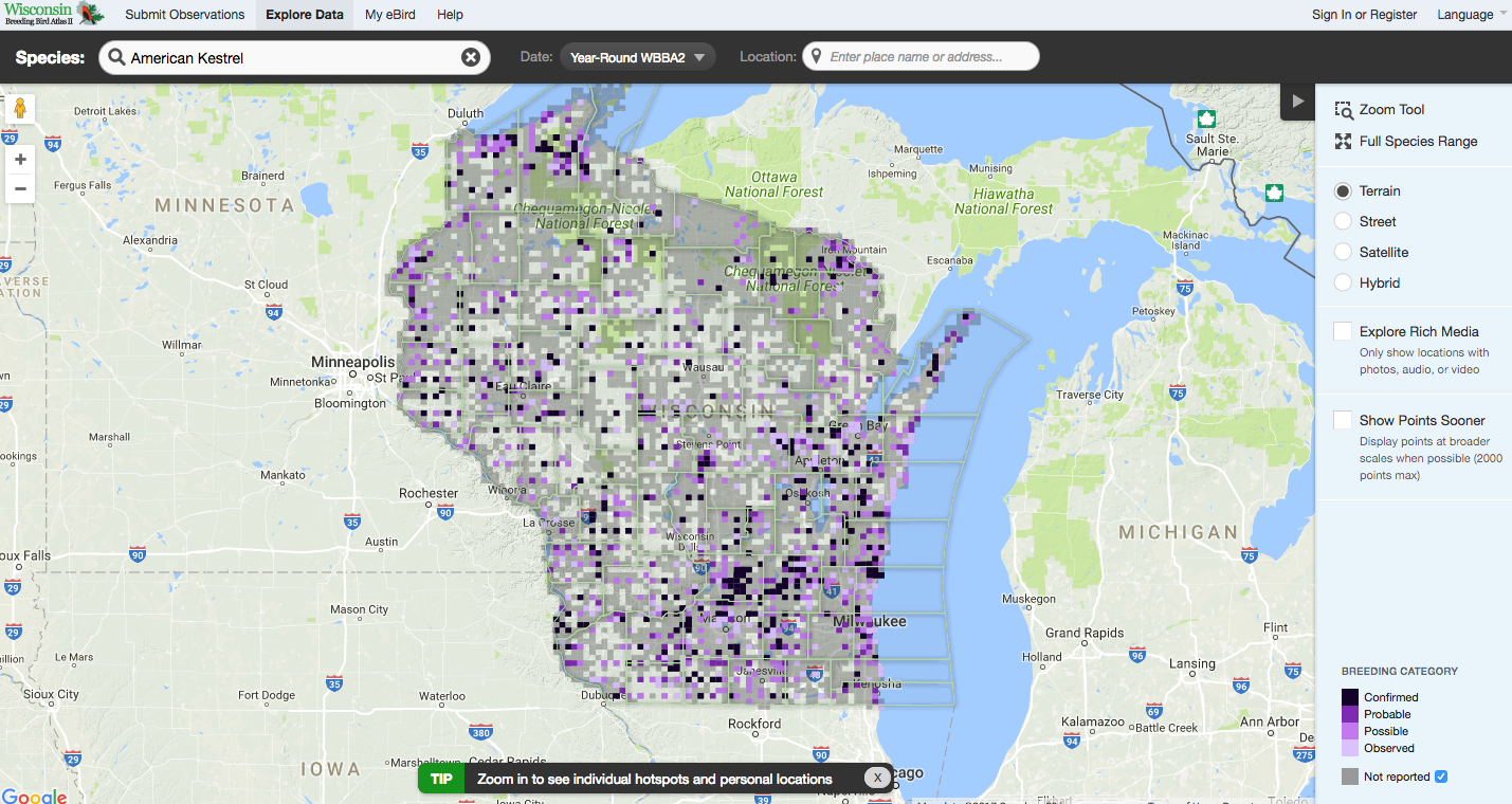 Wildlife Surveys — Southern Wisconsin Bird Alliance