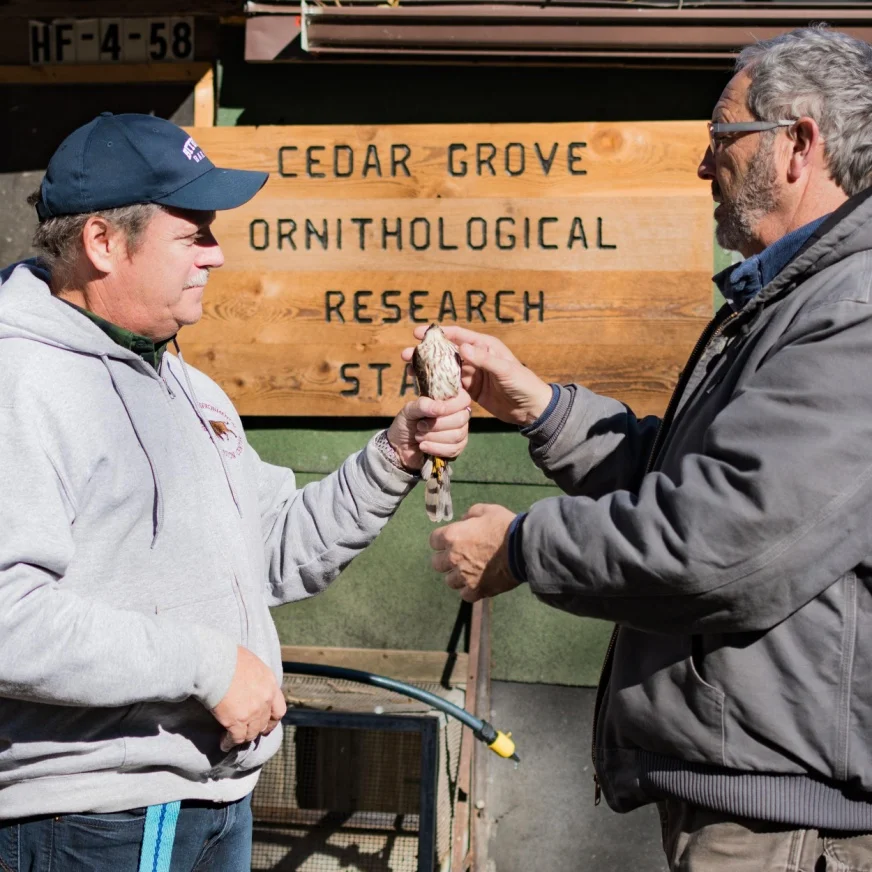 Cedar Grove Ornithological Research Station — Southern Wisconsin Bird ...