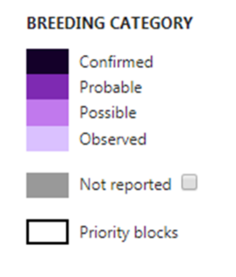 Lab Breeding Color Chart
