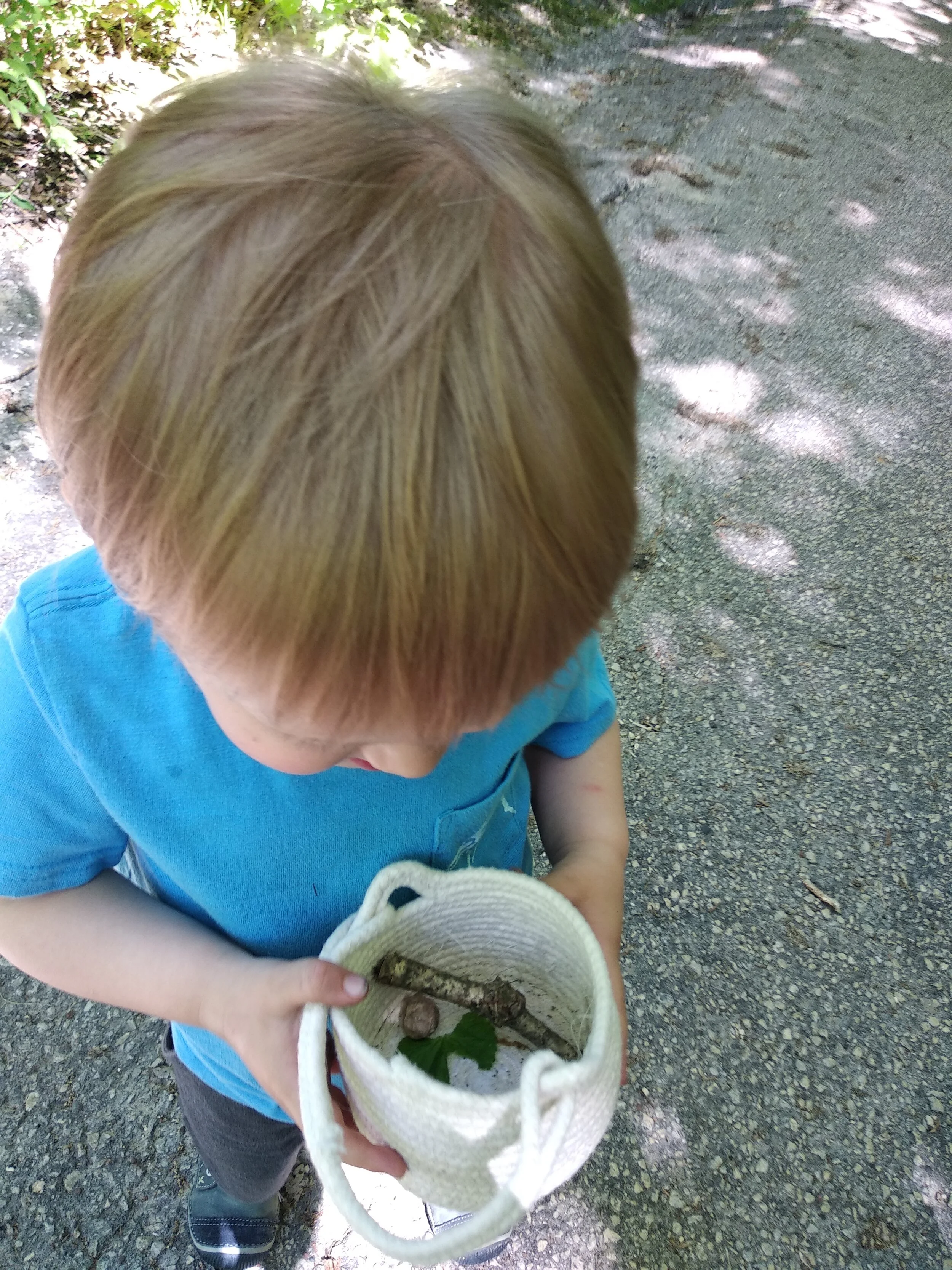 Scavenger Hunts & Nature Baskets — Southern Wisconsin Bird Alliance