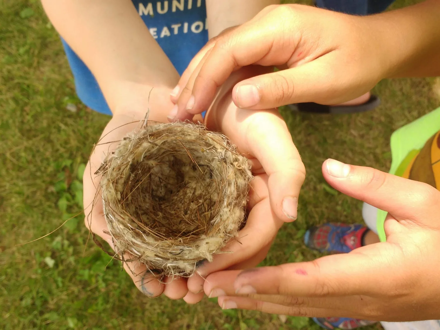 Scavenger Hunts & Nature Baskets — Southern Wisconsin Bird Alliance