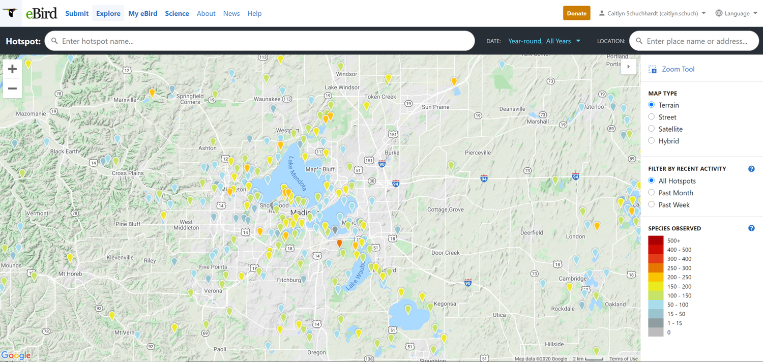 A Beginner's Guide to Finding Birds — Southern Wisconsin Bird Alliance